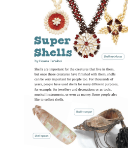 Book review – Super shells – The Manaiakalani Network Blogging